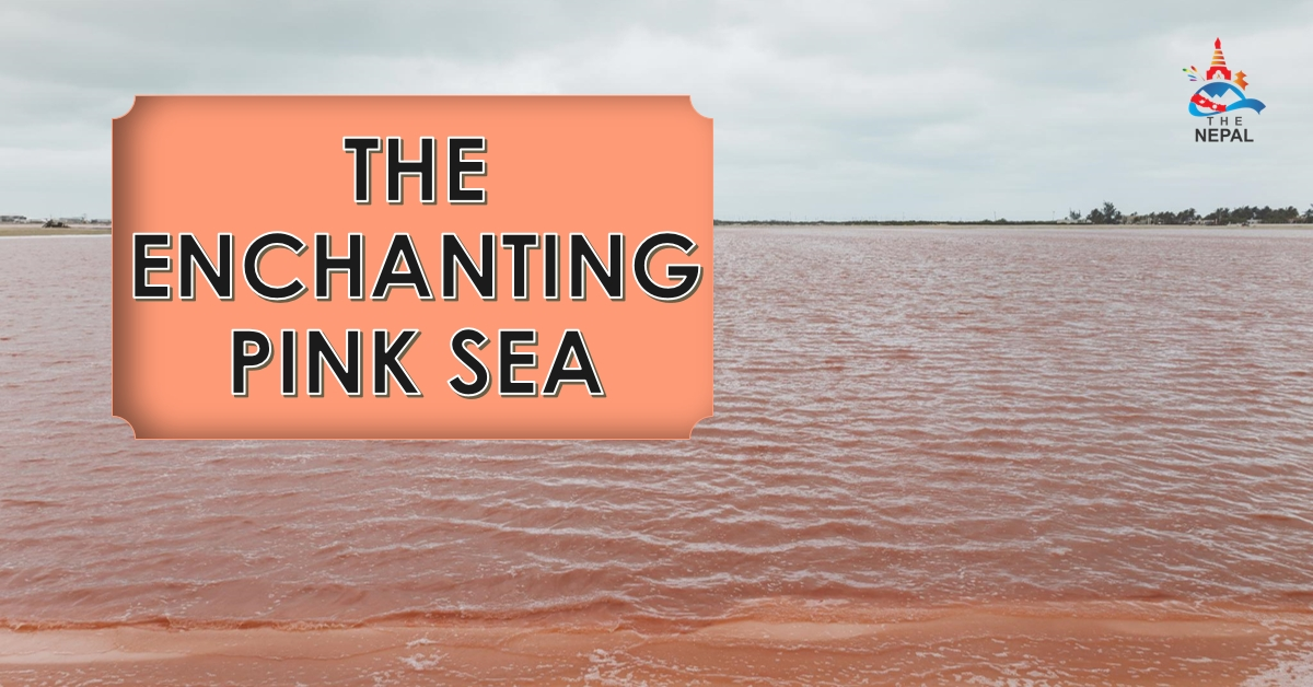 The Enchanting Pink Sea of Salinas de Galerazamba